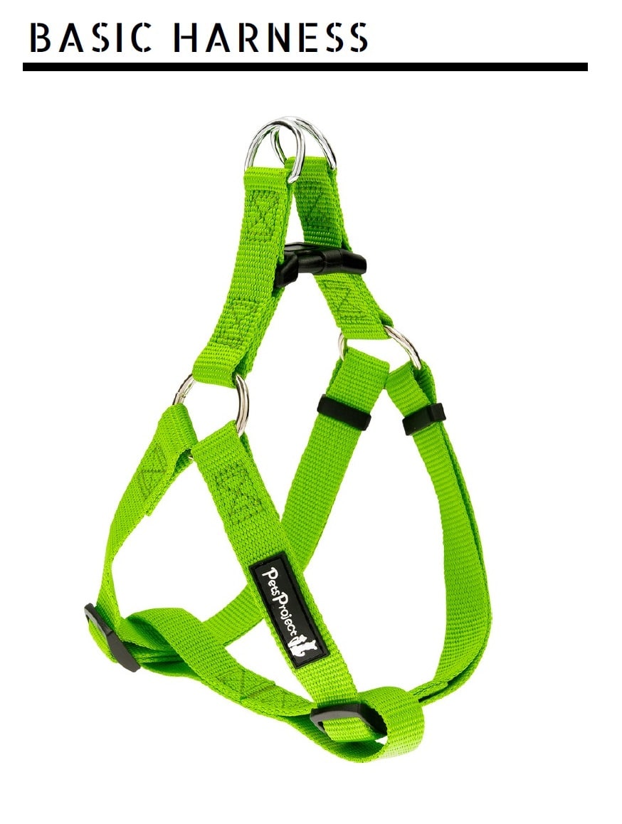 רתמה בייסיק במגוון צבעים – אמה